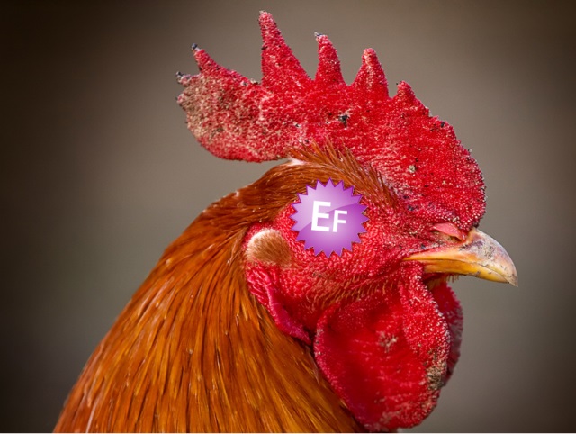 Eazfuscator.NET Meets Twitter - Gapotchenko Blog